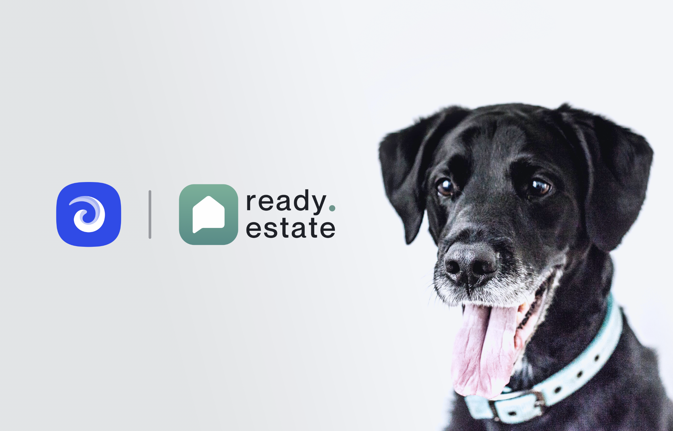 How Ready Estate is Leading the UK Real Estate Market Thanks to Jet Admin